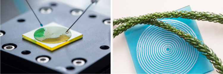 BMF Projection Micro Stereolithography 3D 프린팅 기술로 200년간 풀지 못한 과학계 난제 ...