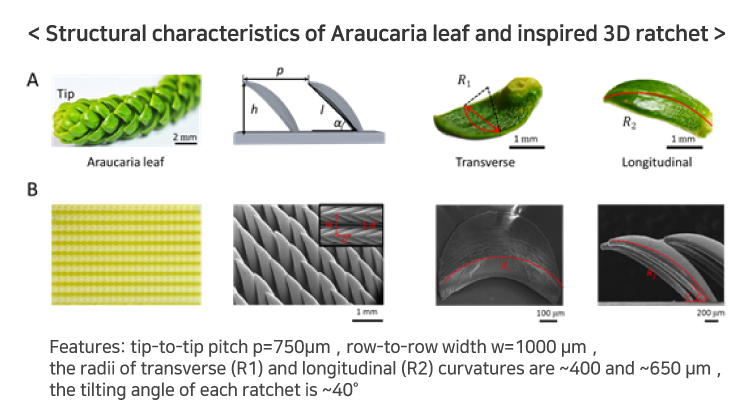 BMF Projection Micro Stereolithography 3D 프린팅 기술로 200년간 풀지 못한 과학계 난제 ...