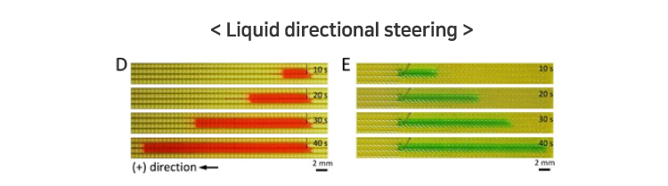 BMF Projection Micro Stereolithography 3D 프린팅 기술로 200년간 풀지 못한 과학계 난제 ...