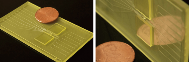 UC 버클리 연구팀, 코로나(COVID-19) 테스트를 위해 PμSL(Projection Micro ...
